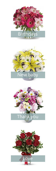 Florist Decatur Ga 🏵️ May 2026